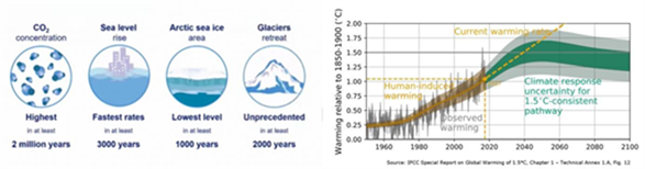Fiji National University