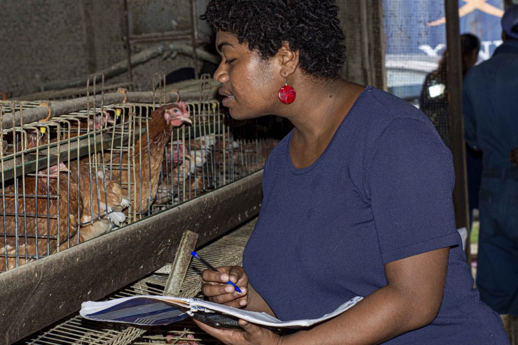 Fiji National University