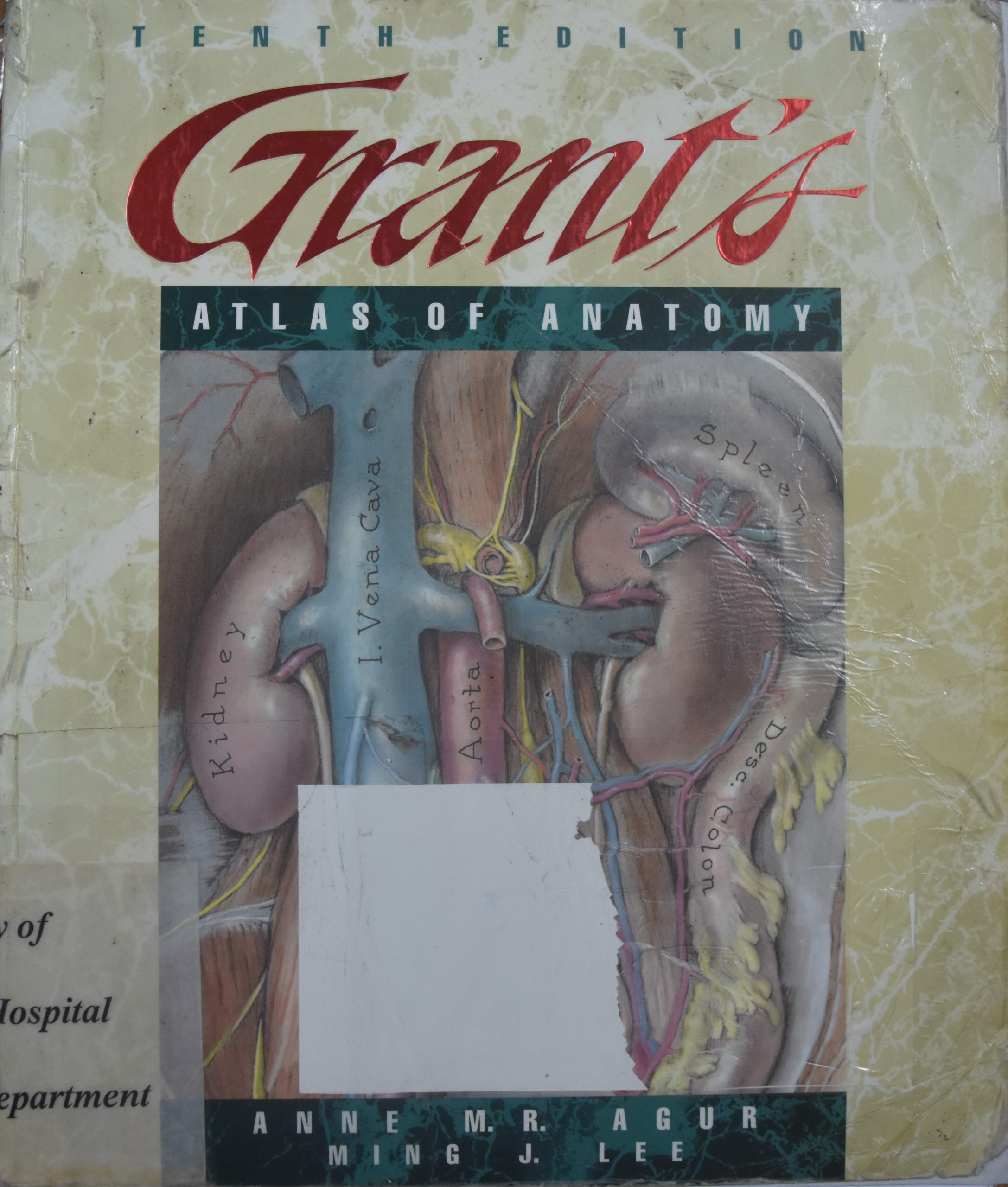 Fiji National University