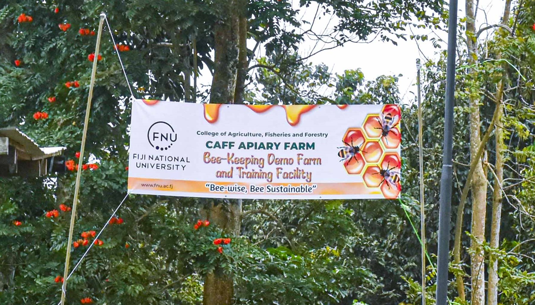 Fiji National University