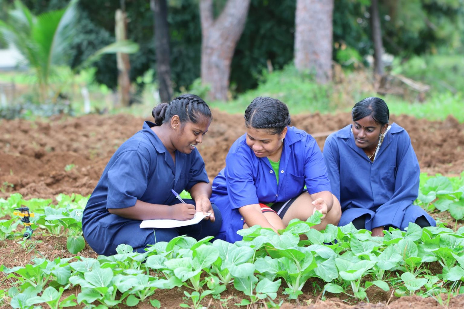 Fiji National University